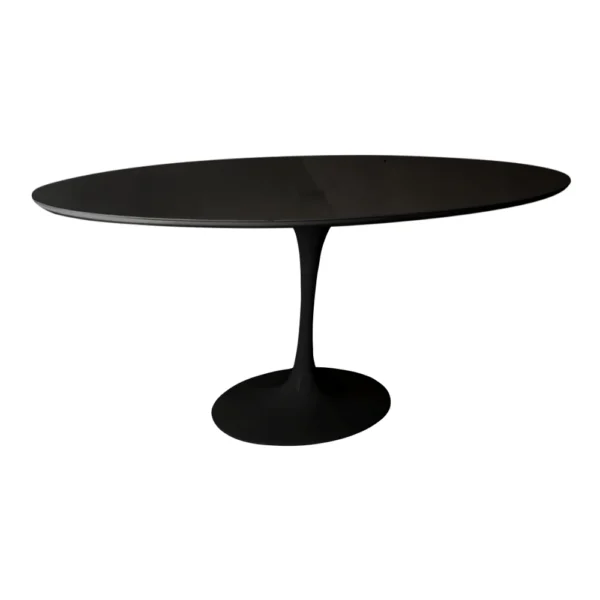 Mesa de Jantar Saarinen Tulipa – Oval – 160×90 cm – Laca Acetinada ...